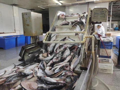 China Fish processing waste spray dryer manufacturers, Fish processing ...